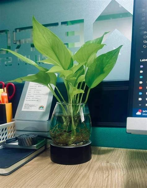 Shekh Habebullah On Linkedin Photo