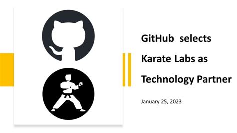 karate labs on linkedin karate labs the leading open source test