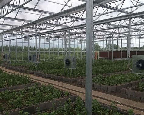 Landwirtschaftliche Gewächshausfabrik Und Zulieferer Hanyang