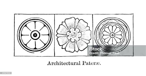 Architectural Paterae Stock Illustration Download Image Now