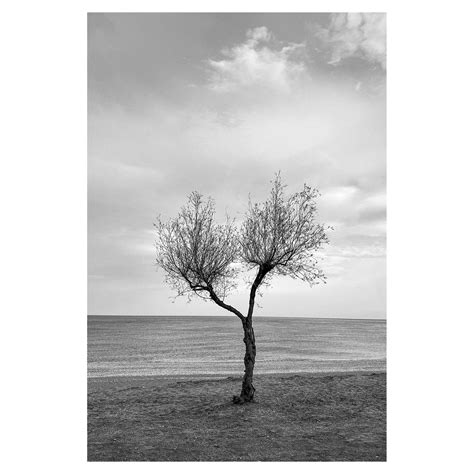 Cristina Insinga Romagna Tin Bota