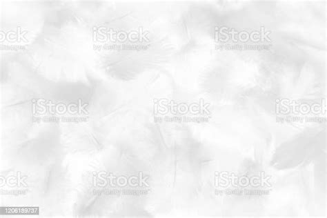 흰색 배경에 아름다운 추상 적색 회색과 흰색 깃털과 흰색 패턴과 밝은 분홍색 배경 발렌타인 데이에 부드러운 핑크 깃털 질감 그래픽 프린트에 대한 스톡 사진 및 기타 이미지