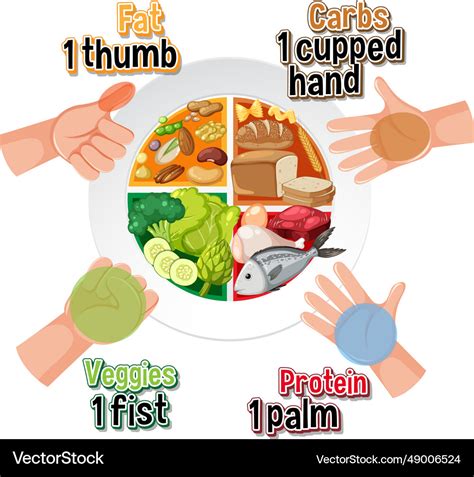 Hand Portion Size Guide For Healthy Eating Vector Image