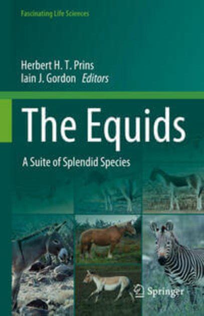 Vetmeduni New E Book „the Equids A Suite Of Splendid Species“