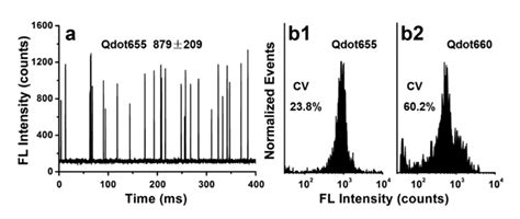 Nanometer Materials Nanofcm