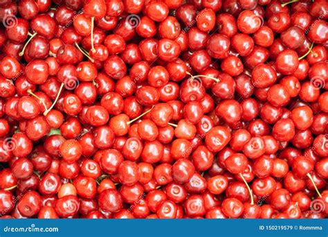 The Sweet Cherry Stock Image Image Of Color Market 150219579