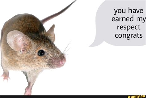 You Have Earned My Respect Congrats Ifunny