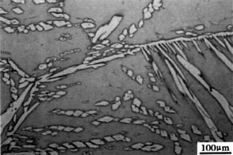 Solid Solution Temperature On 2205 Duplex Stainless Steel Superplasticity Effect China Piping