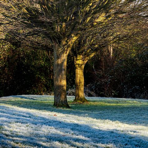 Two In The Frost John Portlock Flickr