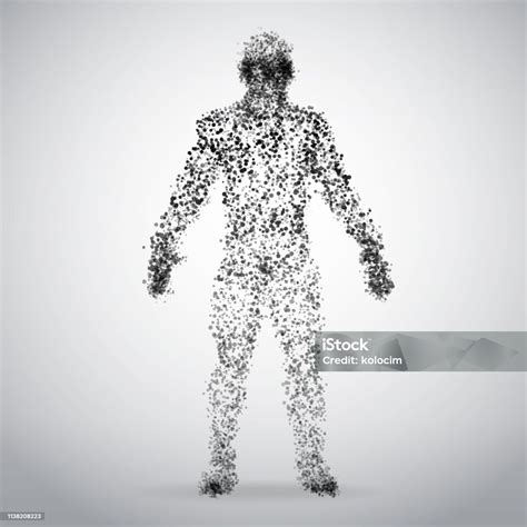 3d 와이어 프레임 인체 다각형 낮은 폴 리 인체에 대한 스톡 벡터 아트 및 기타 이미지 인체 로우 폴리곤 모델링 와이어