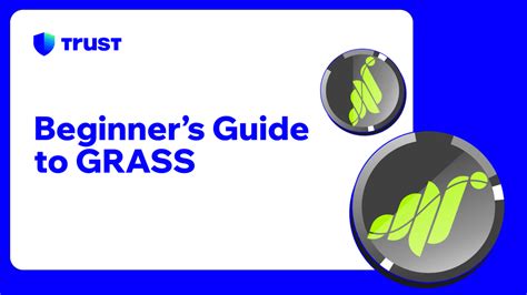 Beginners Guide To Grass Trust