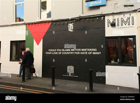 Dublin Ireland 15th January 2025 A Large Pro Palestine Mural With