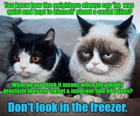 45 Grumpy Cat Memes That Broke The Internet Viral Humor And Cultural