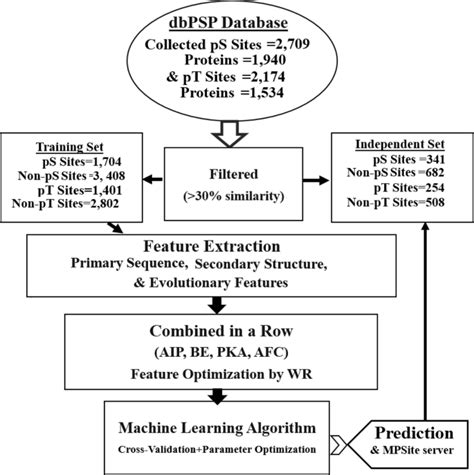 Computational Identification Of Microbial Phosphorylation Sites By The