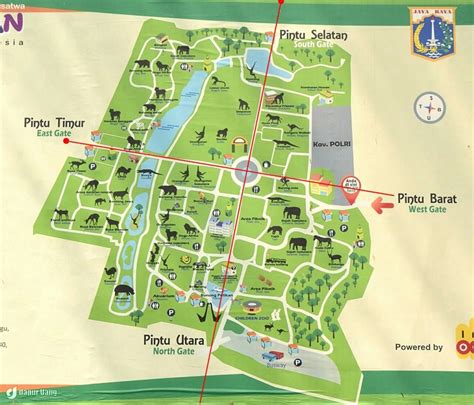 4 Peta Ragunan Zoo 2026 Panduan Lengkap Menjelajahi Kebun Binatang