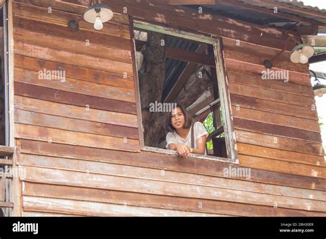 Woman At The Window In A Tree House Stock Photo Alamy Woman At The Window In A Tree House Stock Photo Alamy