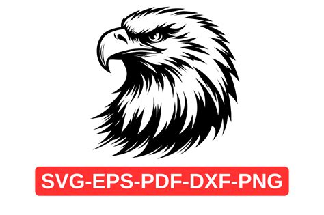 Detailed Bald Eagle Svg File Bird Png Graphic By Artful Assetsy