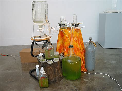Algae Bioreactor Kit