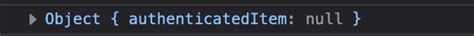 Nextjs Authenticateditem Returns Null When I Query From The Frontend