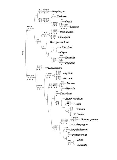 Welcome To The Grass Phylogeny Working Group Home Page