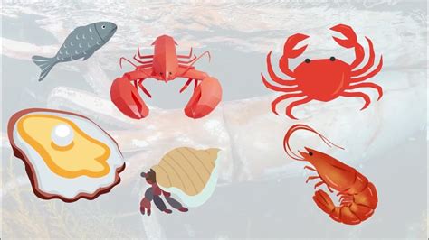 Protostomes Video Squid Youtube