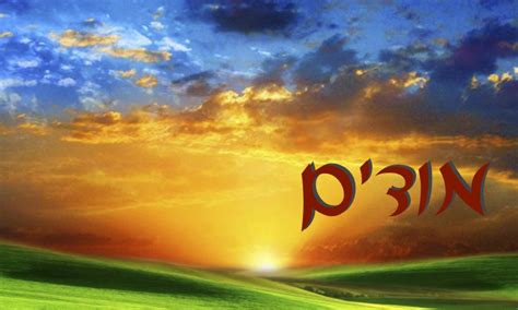 A New Modim Erik Contzius