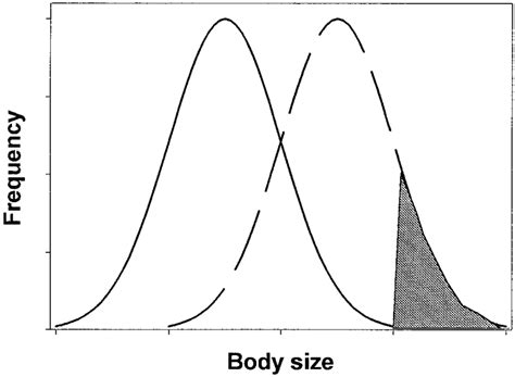 The Hypothesized Shift In Body Mass Distribution In Cyclic Populations