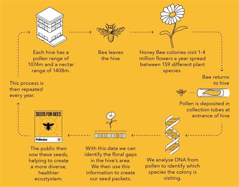 Local Pollen Beebytes