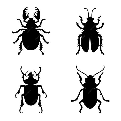 Premium Vector A Collection Of Beetles