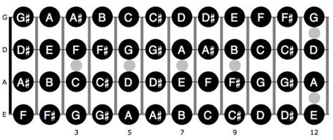How To Find Any Note On The Bass Guitar Easy Method