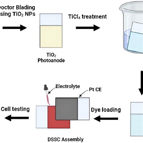 Scheme Of Dssc Assembly Fabrication Download Scientific Diagram