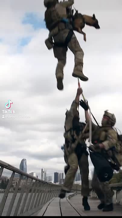 Clémence Bourin Sur Linkedin Iciçarecrute Emploi