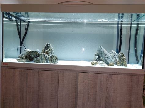 Στησμο Ενυδρειου με Κιχλιδες Αφρικης απο την αρχη Κιχλίδες Αφρικής Aquazone Portal