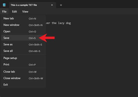 Text File Format Txt Extension GeeksforGeeks