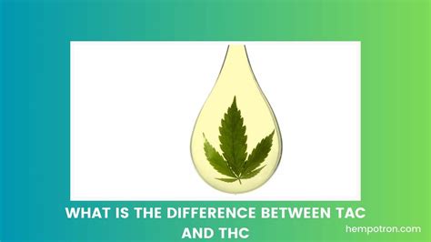 What Is The Difference Between TAC And THC Hempotron