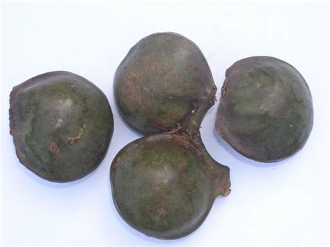 Health Benefits Of Ngapi Nuts Health Benefits