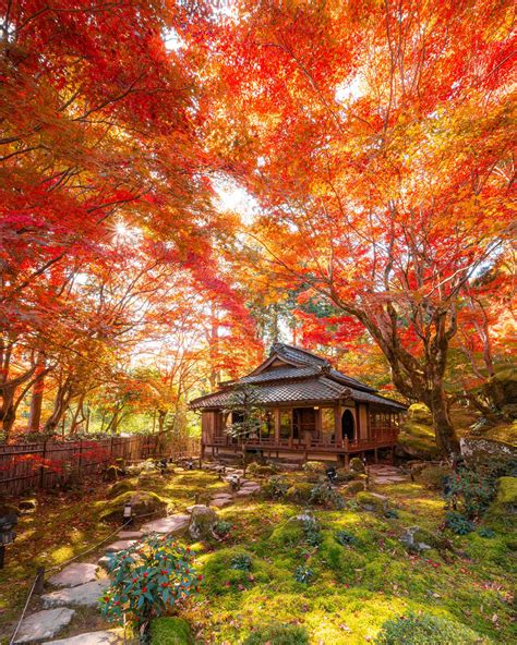 Nissy Nissyphotogram • Instagram Photos And Videos