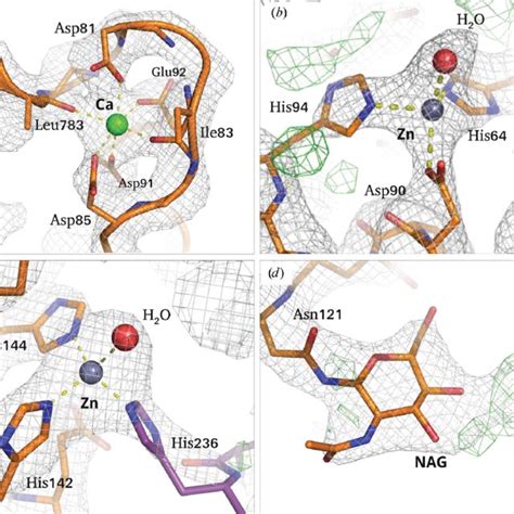 interactions made between hexagonal layers a and b show overviews