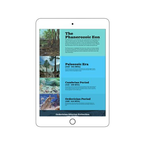 The Phanerozoic Eon On Behance