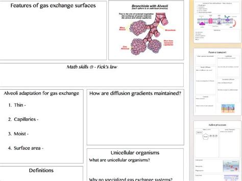 Biology Edexcel New Alevel SNAB Topic Genes And Health Summary Page Templates