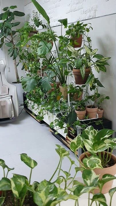 제자들이감람원이라는산으로부터예루살렘에돌아오니이산은예루살렘에서가까워안식일에가기알맞은길이라들어가그들이유하는다락방으로올라가더불어마음