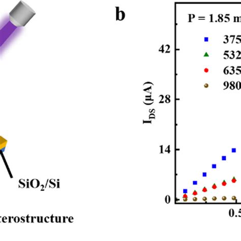 A Schematic Diagram Of The Mos2 Ws2 Heterostructure Photodetector