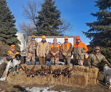 North Dakota Pheasant Hunting Guides Upland Bird Hunts