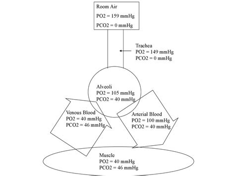 Epoc During High And Low Intensity Exercise Ppt Download