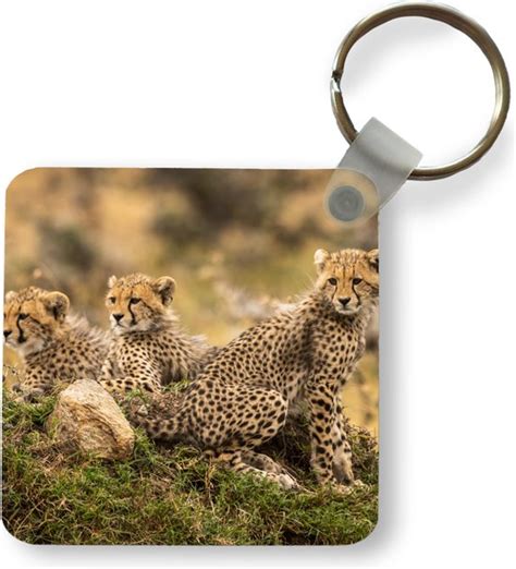 Sleutelhanger Uitdeelcadeautjes Luipaard Bos Dier Plastic Bol