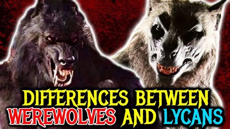 What Are Lycans What Is A Lycan Werewolf Vs Lycan Wolf Stuff