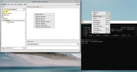 ROOT On Windows WSL WSLg ROOT ROOT Forum