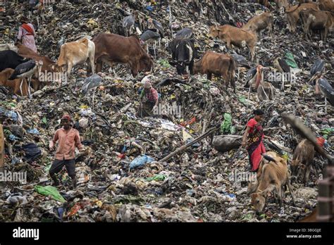 Garbage Collectors Searching For Recyclable Material At Garbage Disposal Site In Assam India