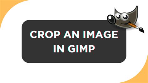 How To Crop In GIMP Pttrns