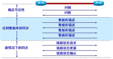路由选择协议 Rip、ospf、bgp 详解bgp Ospf Rid Csdn博客